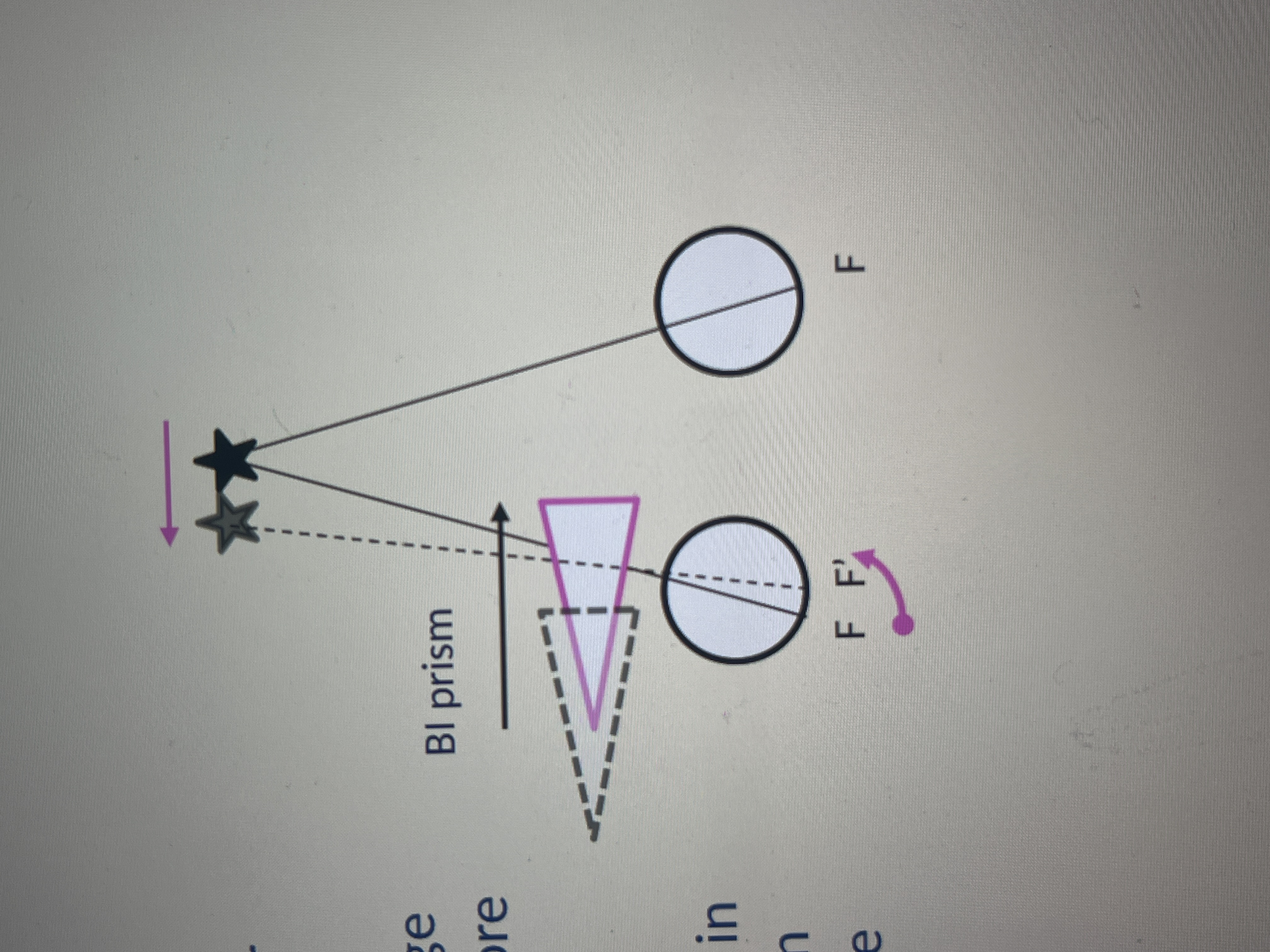 Binocular Eye Movements Ii | Flashcards