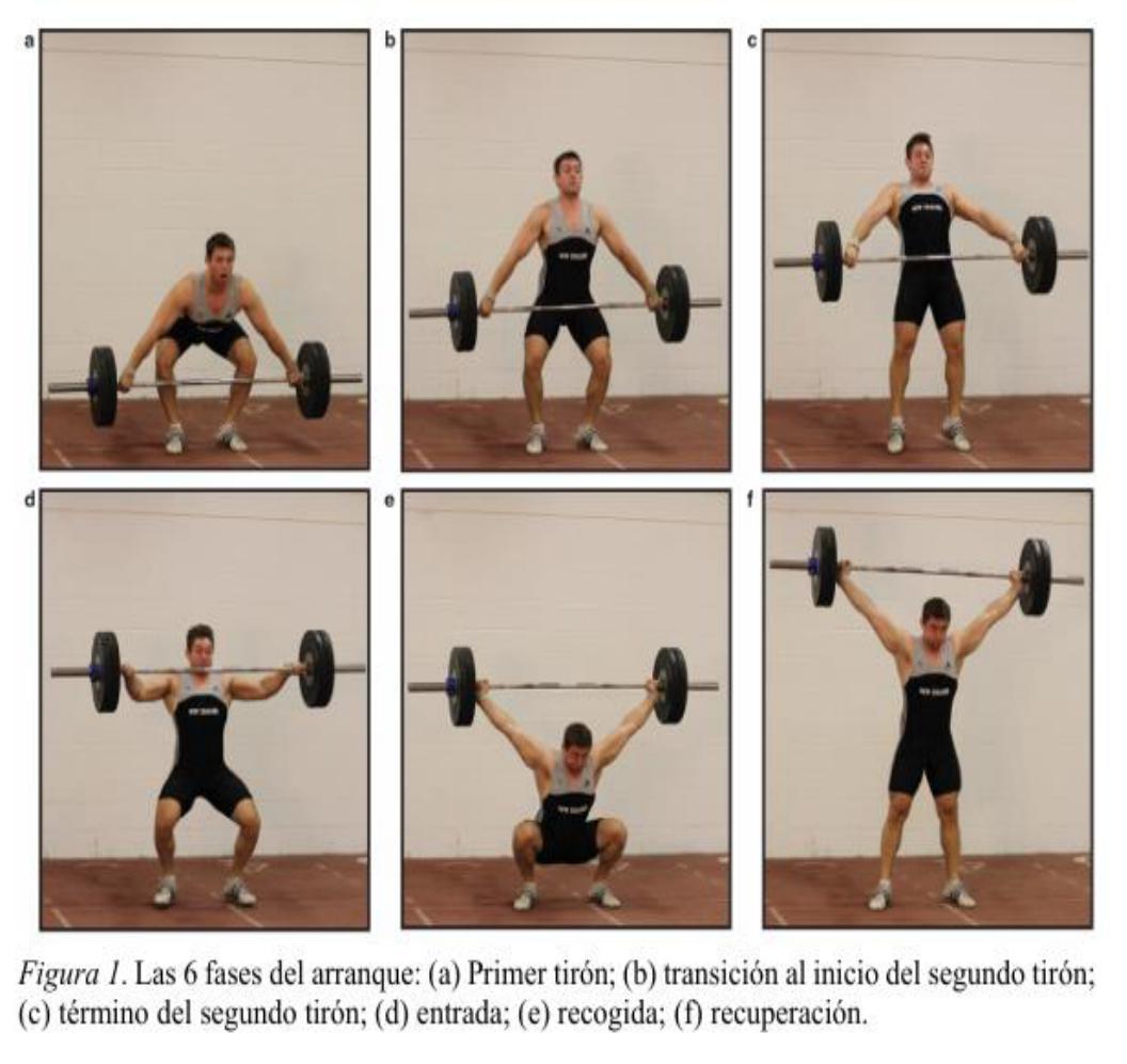 Levantamiento De Pesas | Flashcards