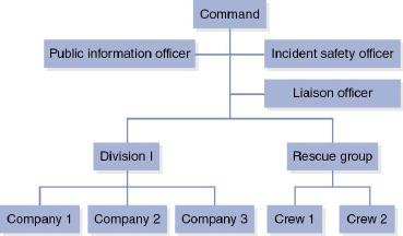 Atf Module 1 Fire Department Organization | Flashcards