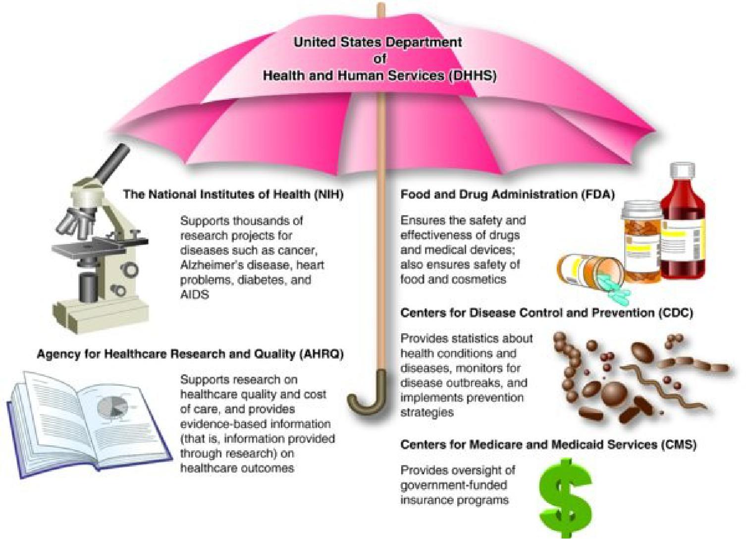 Exam 1 Fr | Flashcards