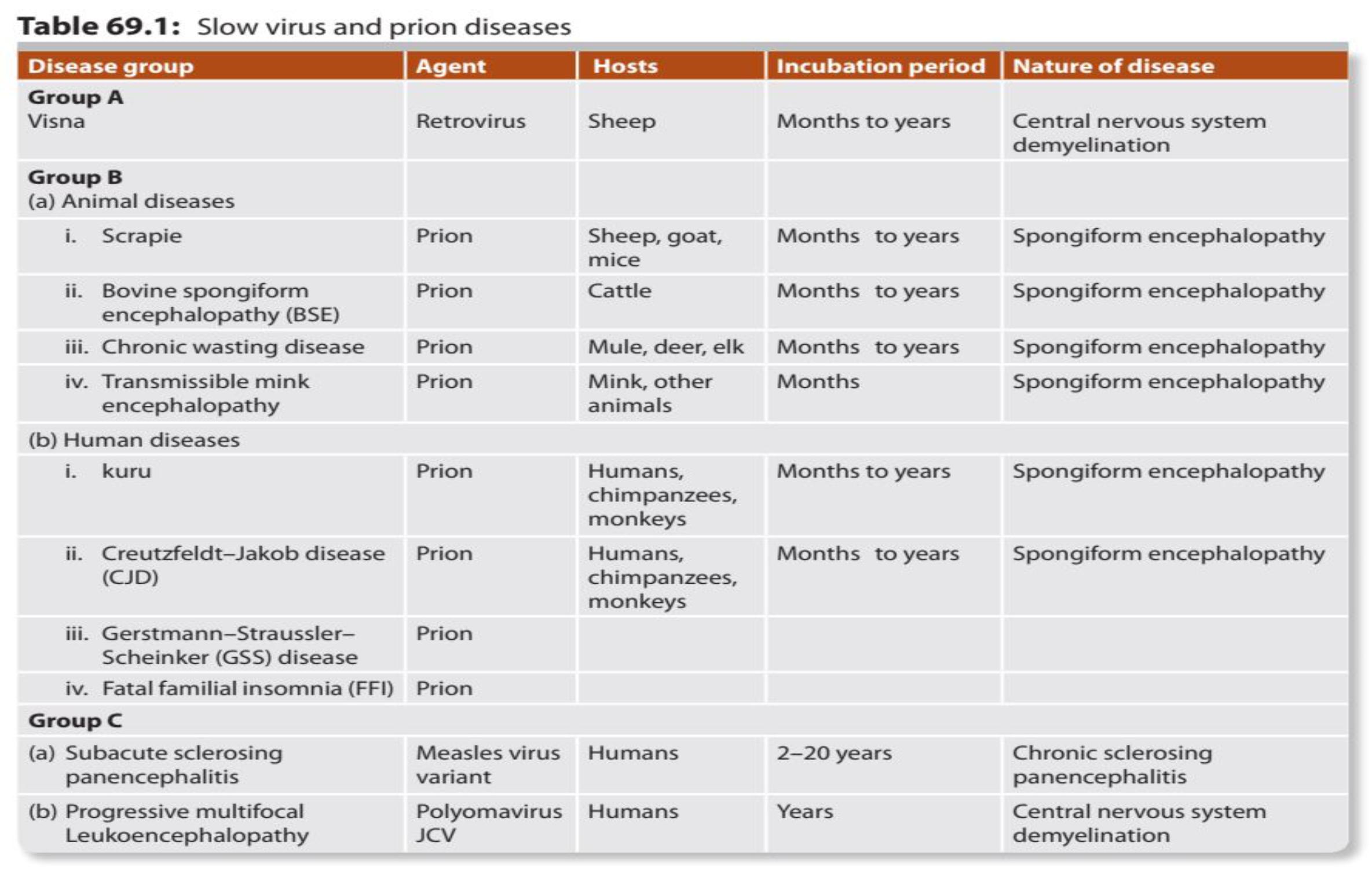 Slow Virus | Flashcards