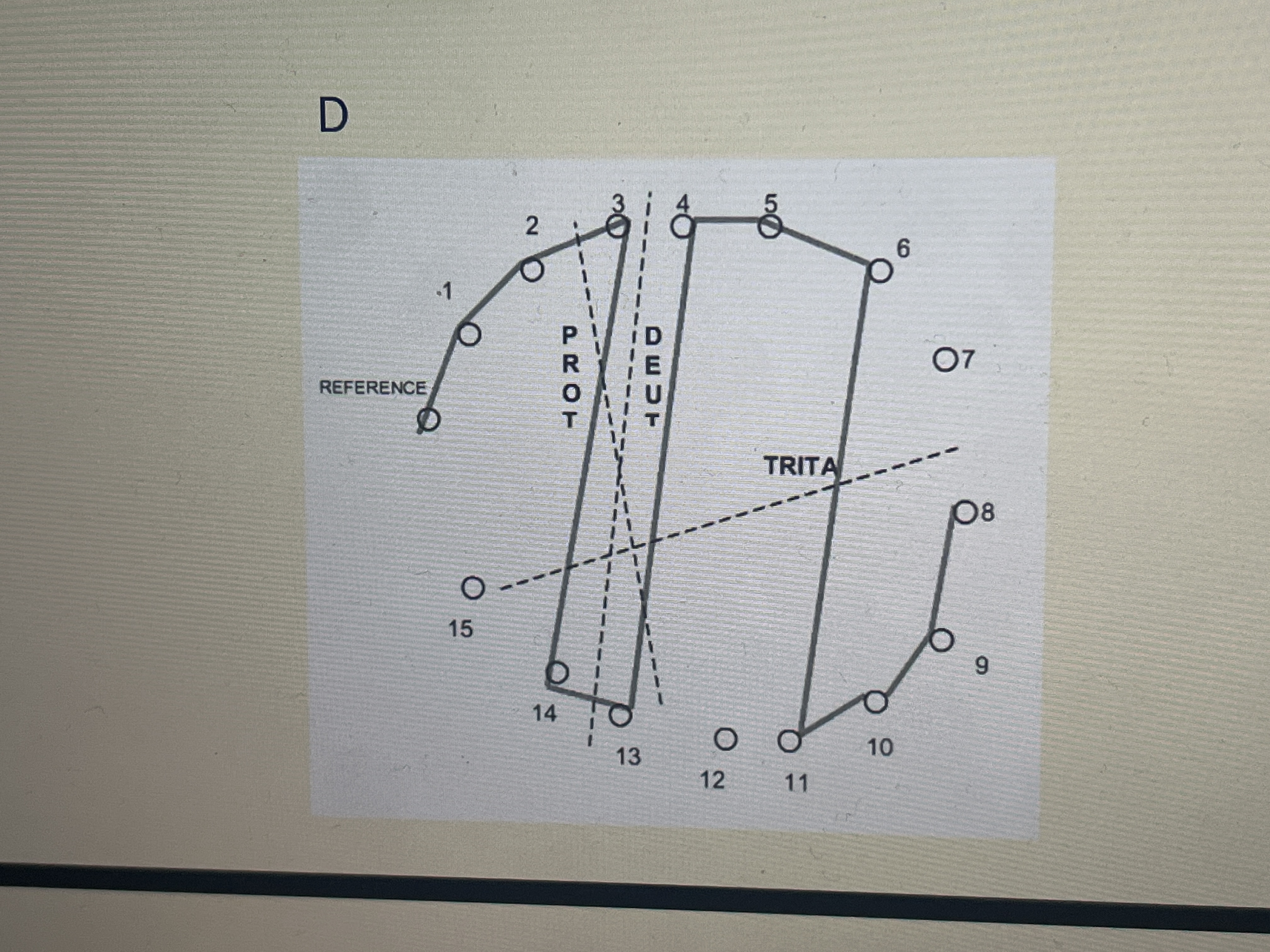 Colour Sense Iii Cvd Tests | Flashcards